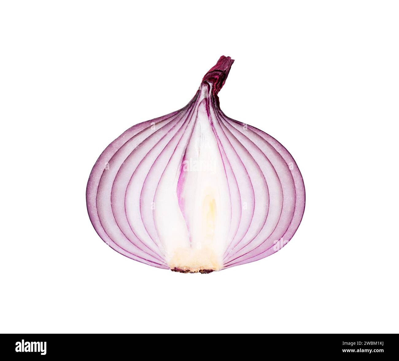 Red onion on field Cut Out Stock Images & Pictures - Alamy