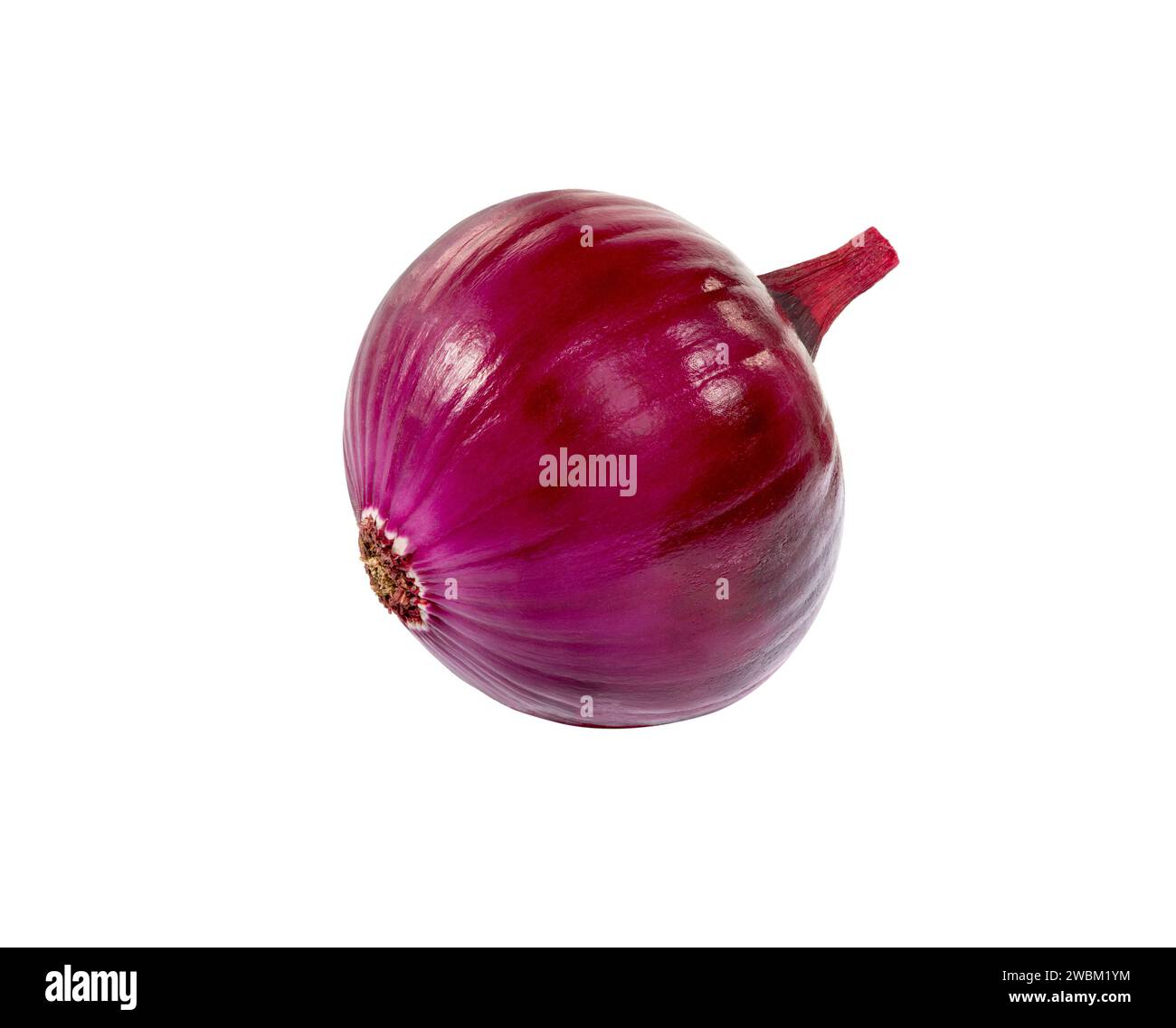 Onions. Onion bulbs isolated on white background Stock Photo - Alamy