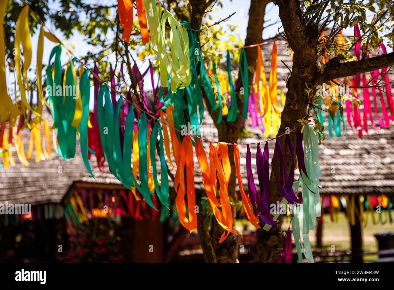 Colored ribbons on a tree at a summer festival Stock Photo - Alamy