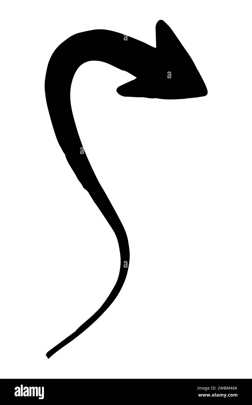 Hand painted arrow drawn with ink brush isolated on white background ...