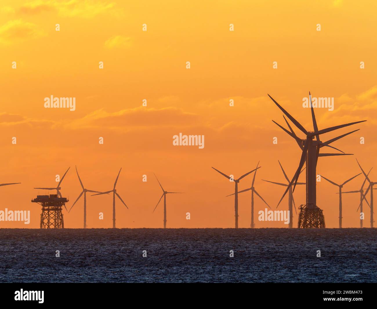 The Walney offshore windfarm from Walney Island, Cumbria, UK at sunset ...