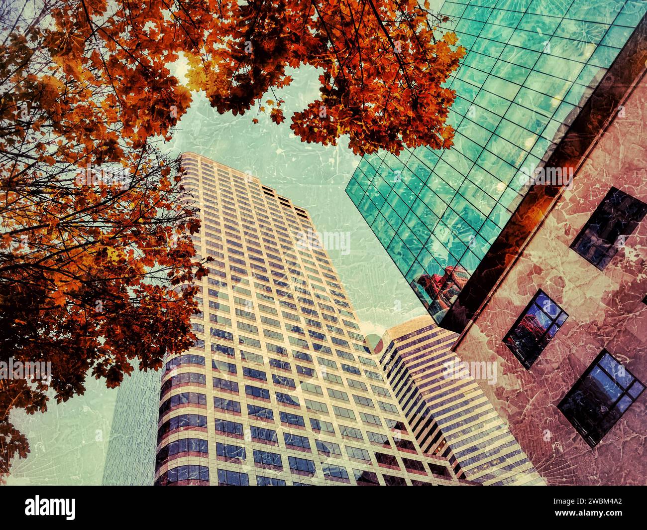Low angle shot at Seattle iconic skylines on an autumnal evening Stock ...