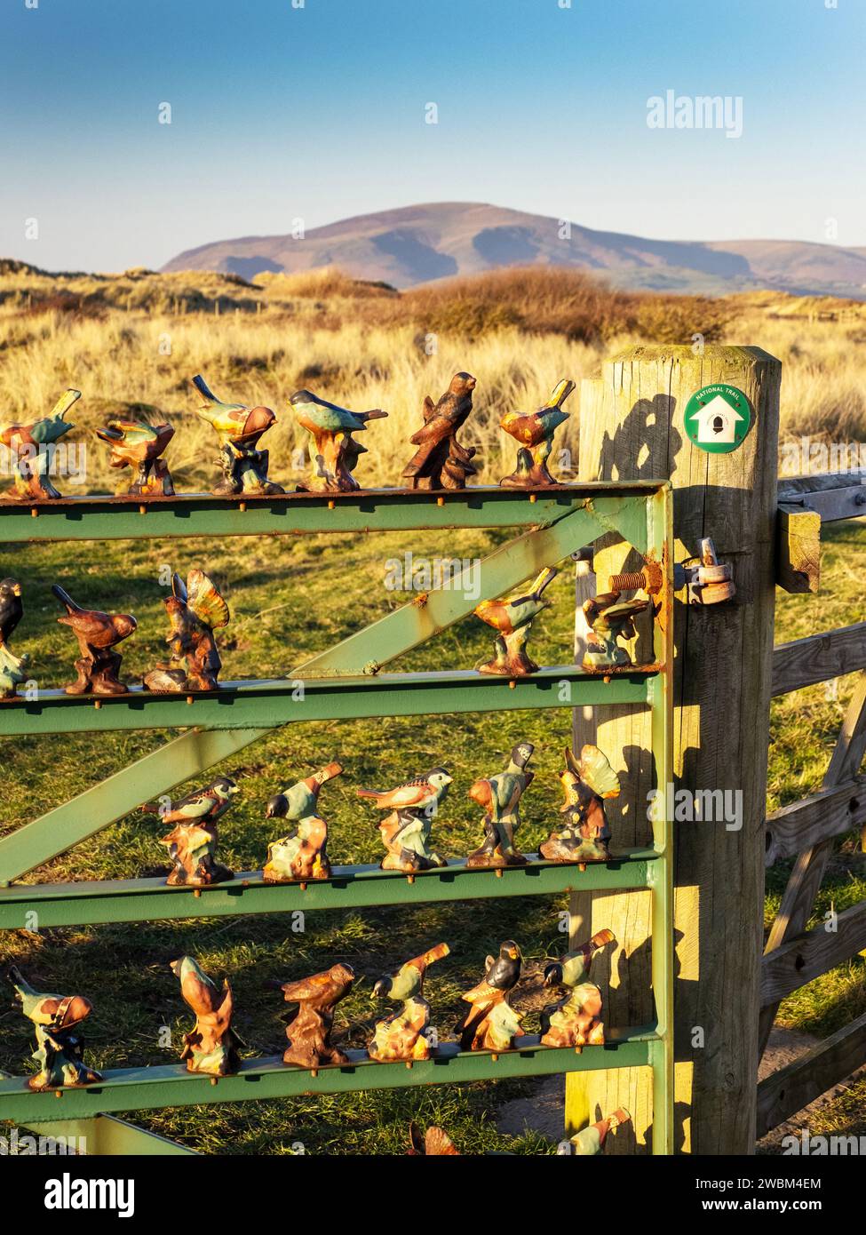 A gate at North Walney nature reserve with birds painted in army ...