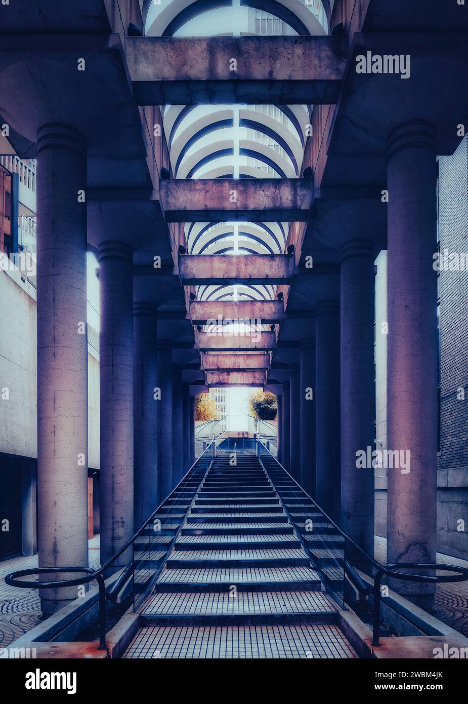 Architectural structure of staircase leading into the entrance of a ...