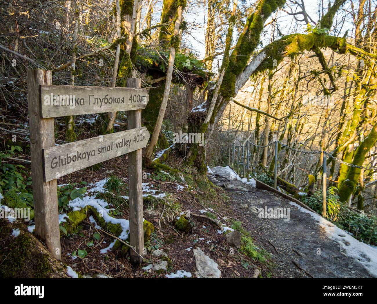 Deep gully forest reserve hi-res stock photography and images - Alamy