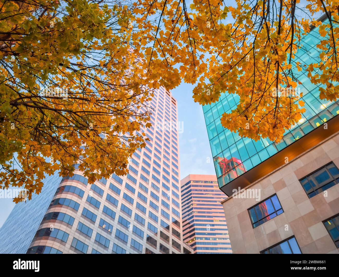 Low angle shot at Seattle iconic skylines on an autumnal evening Stock ...