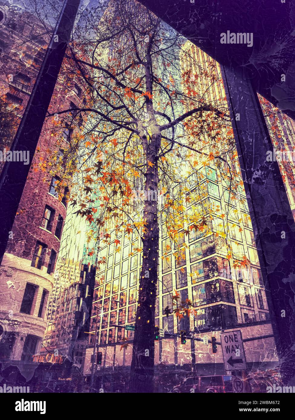 View of Seattle downtown iconic skylines seen through a tall glass ...