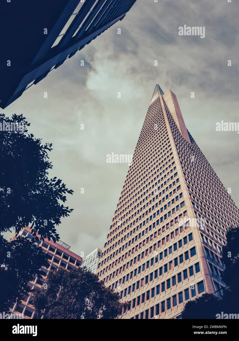 Low angle shot at San Francisco iconic landmark, the TransAmerica ...