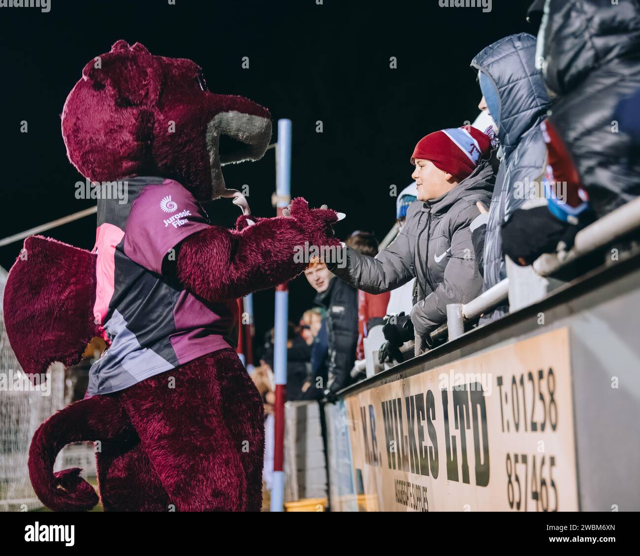 Taunton Town football club mascots make friends with the crowd Stock ...