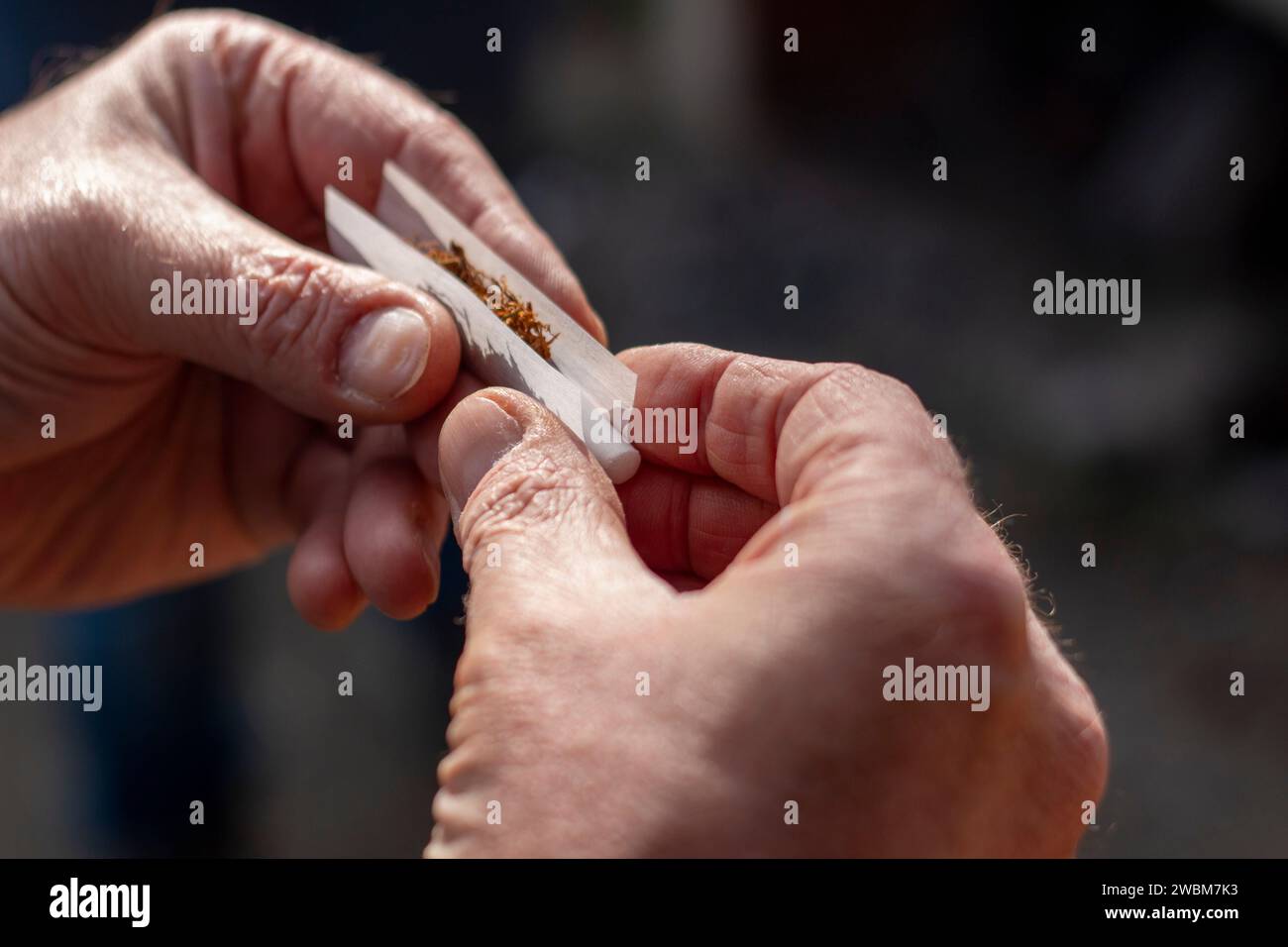 Hand rolling cigarette tobacco hi-res stock photography and images - Alamy