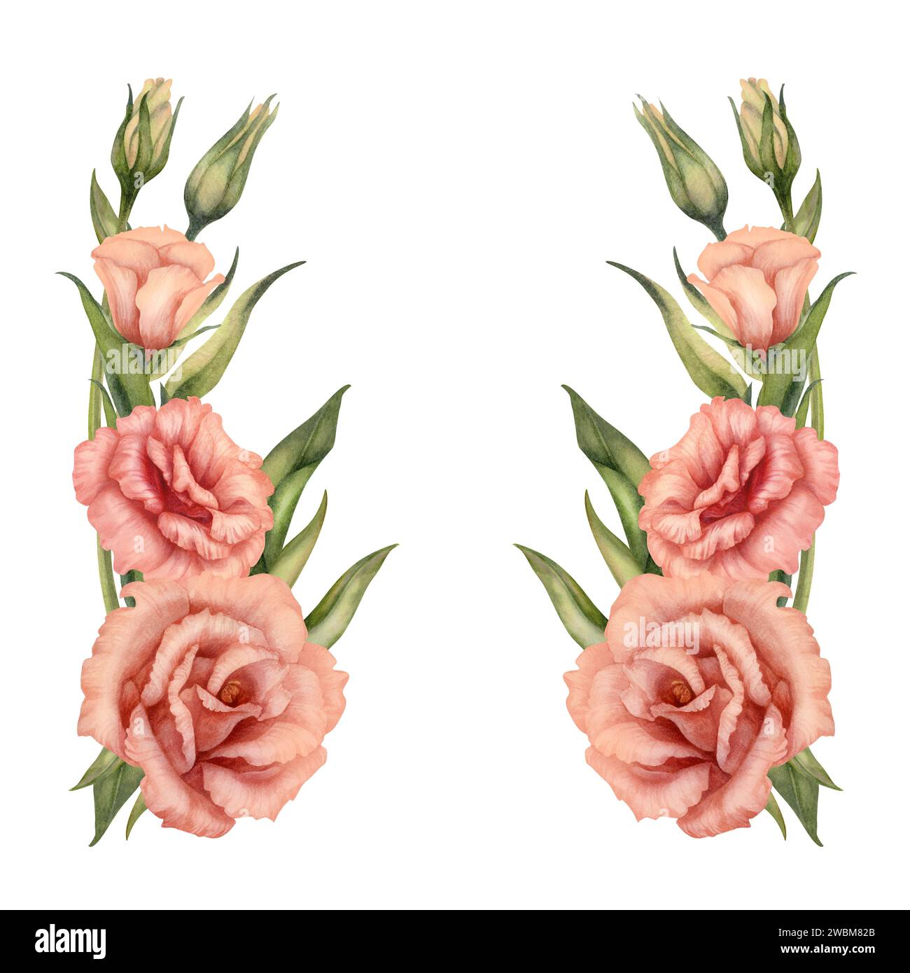 Watercolor pink bouquet with eustoma flowers, leaves and buds in a ...