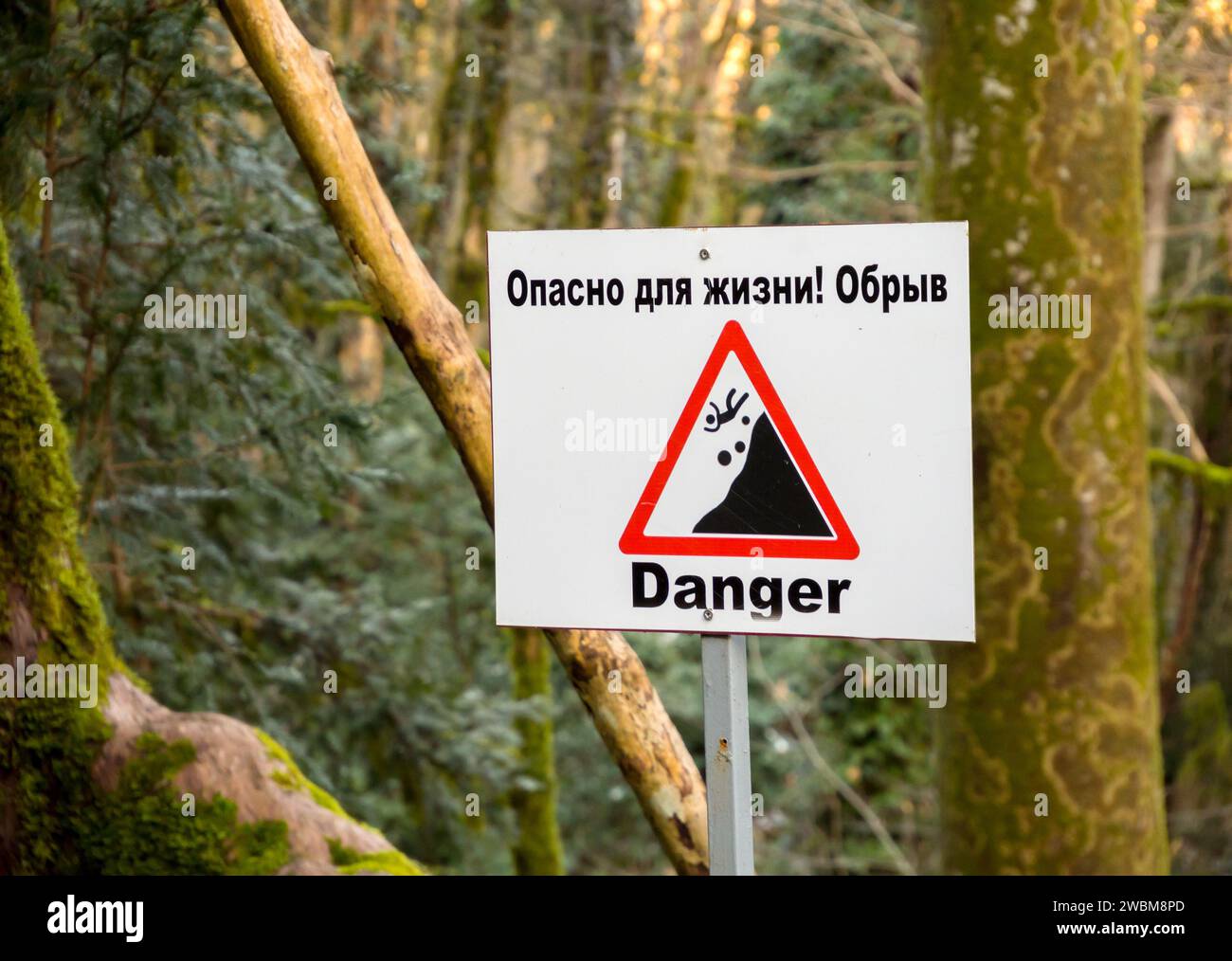 Warning sign "Cliff" in the forests of a mountainous area Stock Photo ...