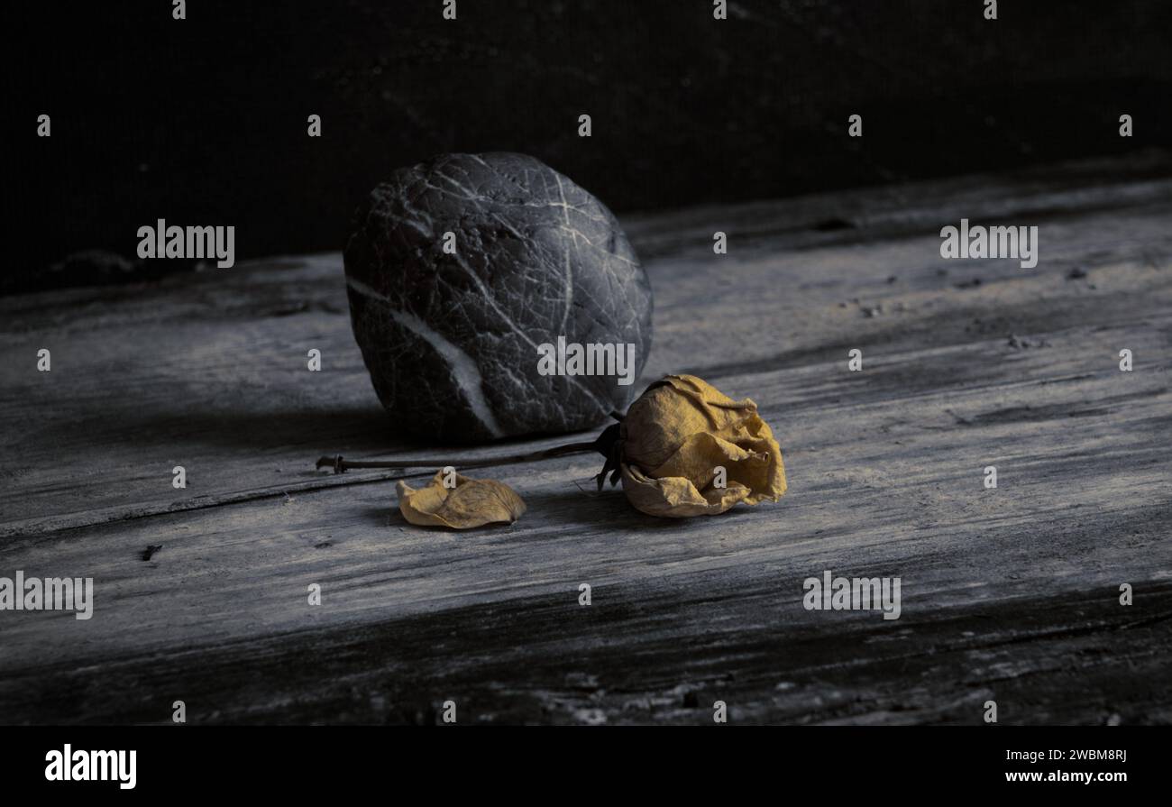 still life with roses, petals, vases, avocado seeds, leaves Stock Photo ...