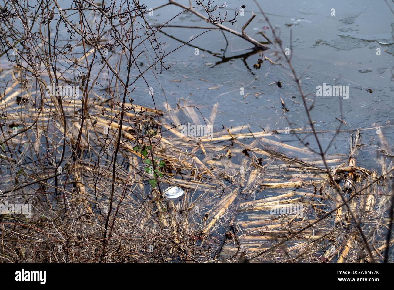 Eton, Windsor, UK. 11th January, 2024. Flooded farmland in Eton ...