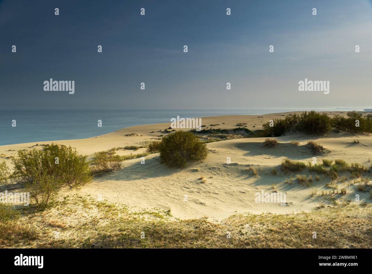 Serene Curonian Spit dunes with sparse greenery, under a soft morning ...