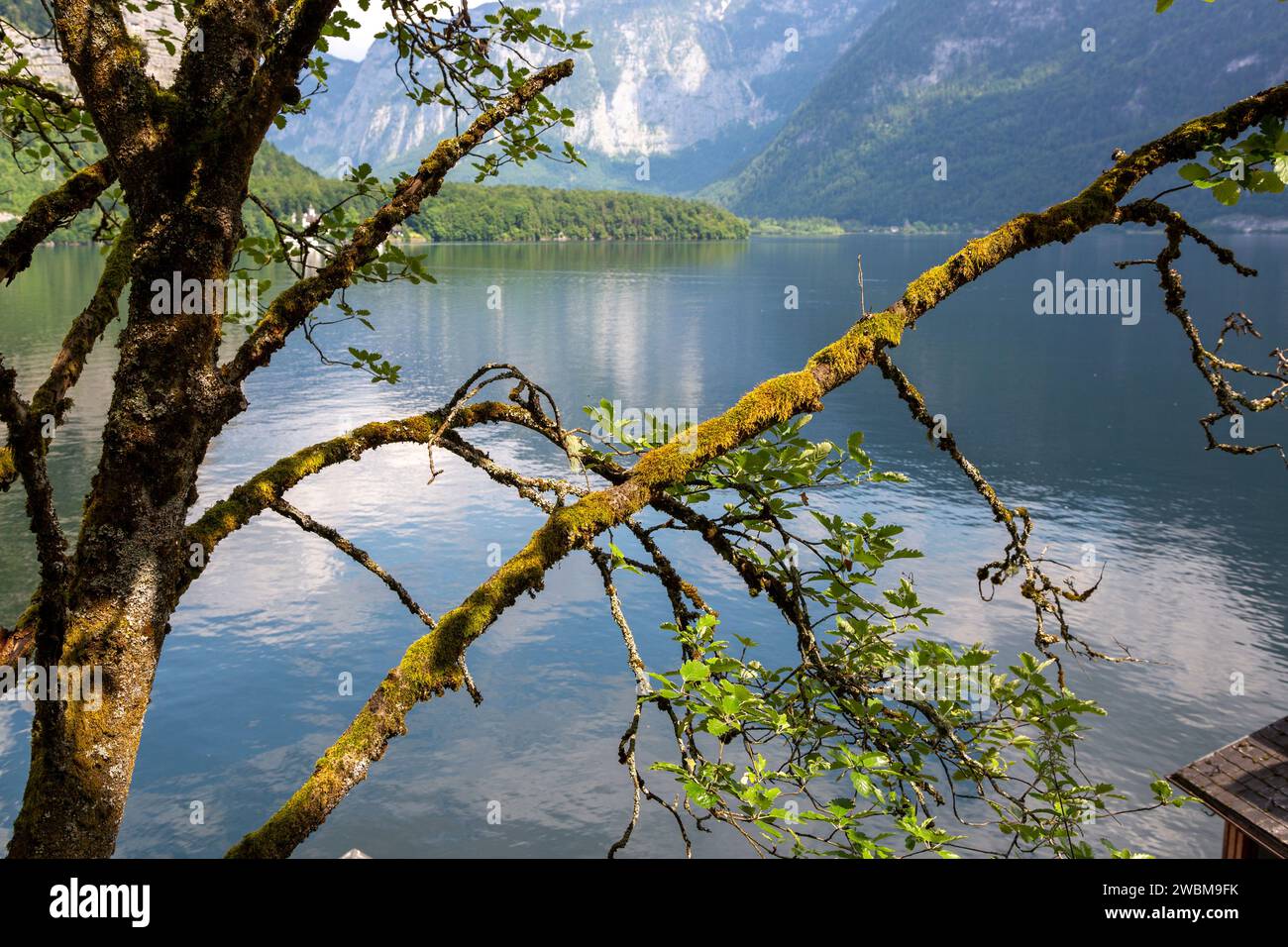 Lake Hallstattersee in Hallstatt Stock Photo - Alamy