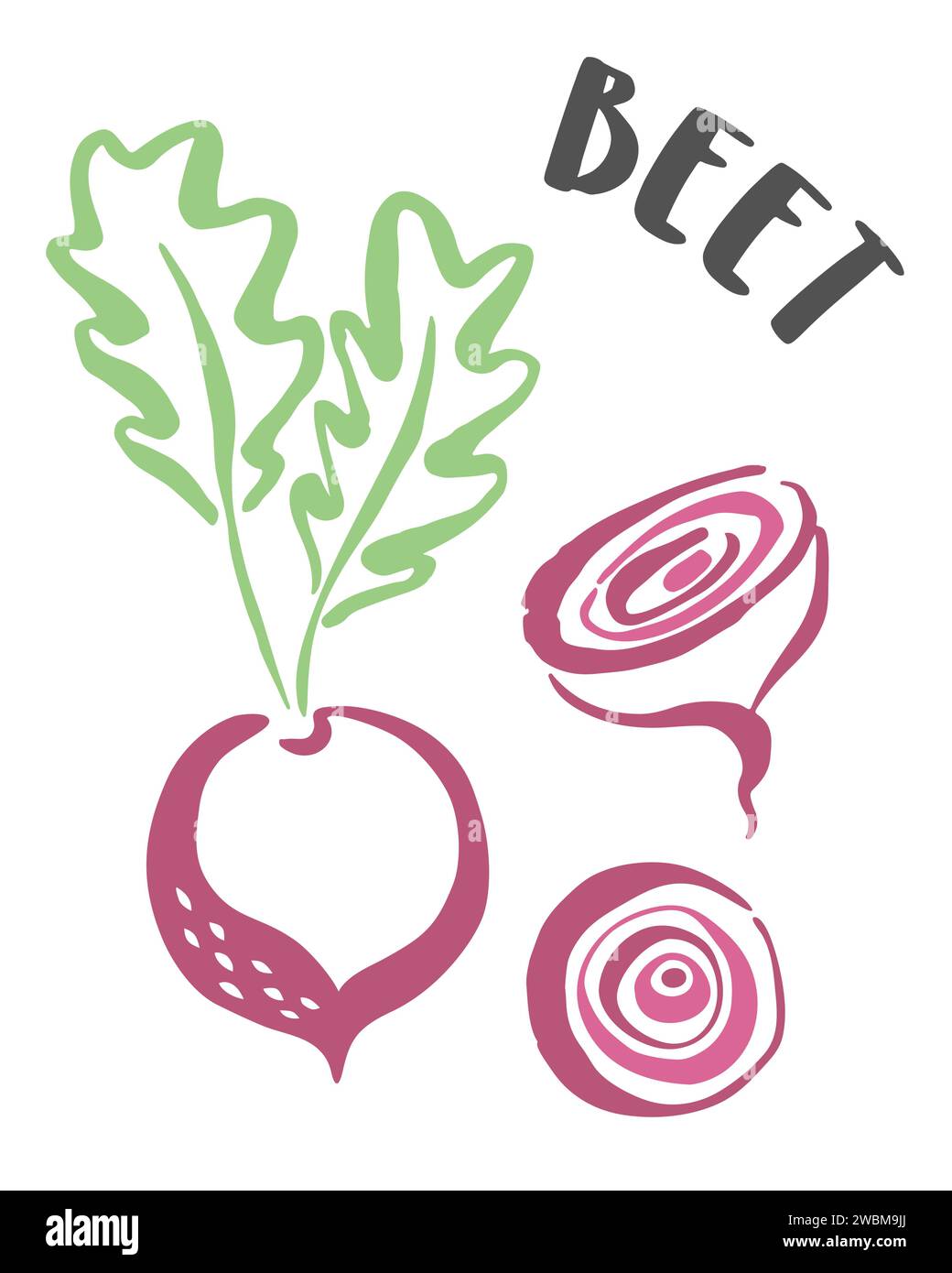 Beet drawing hi-res stock photography and images - Alamy