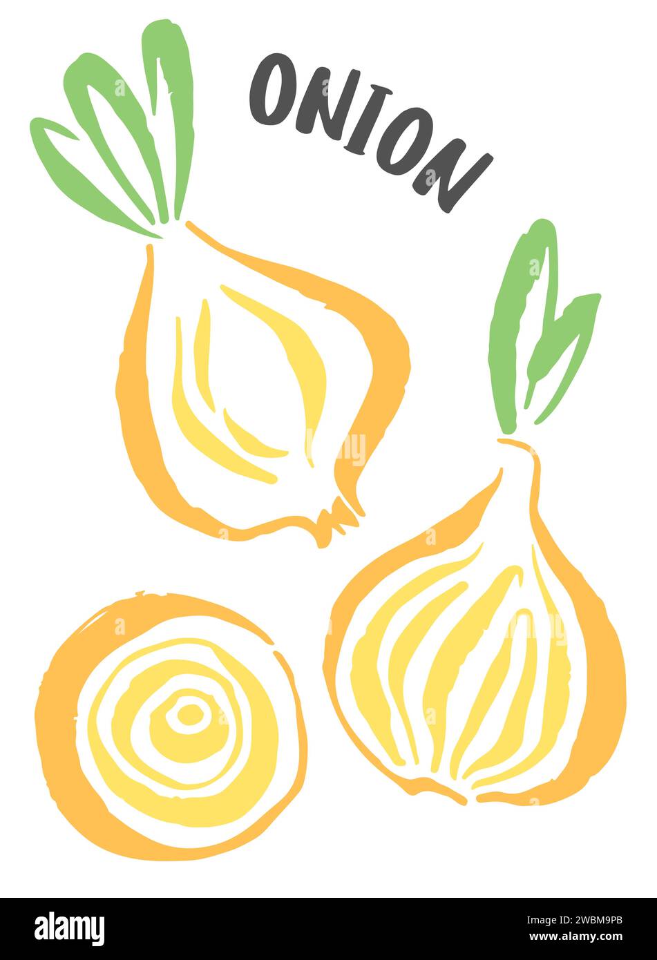 Set of onion drawing hand painted with ink brush isolated on white ...