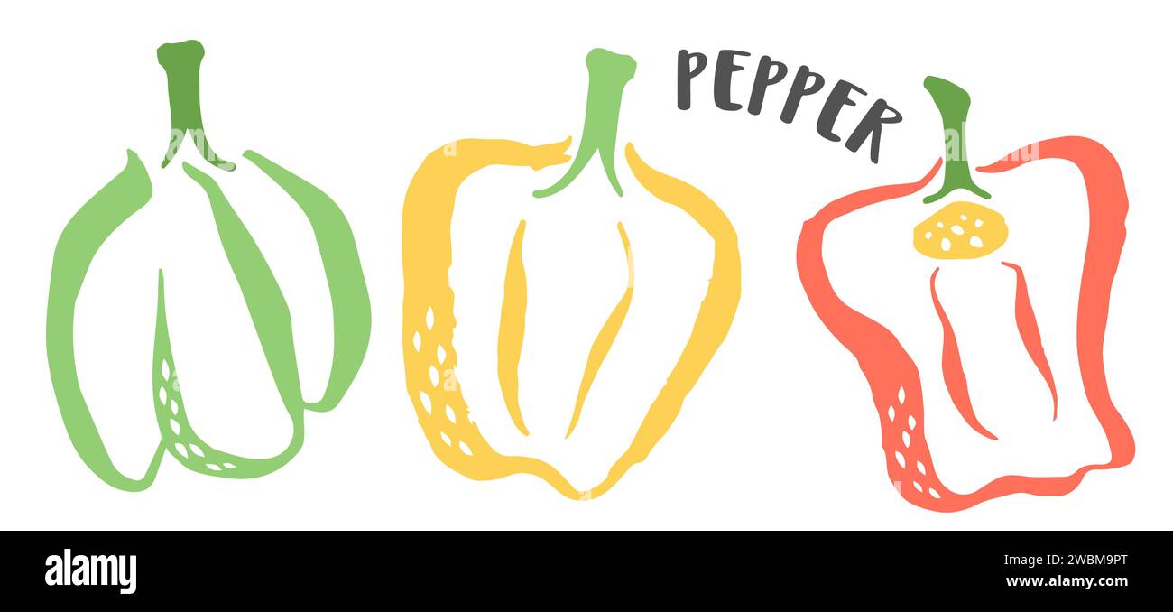 Bell Pepper drawing hand painted with ink brush isolated on white ...