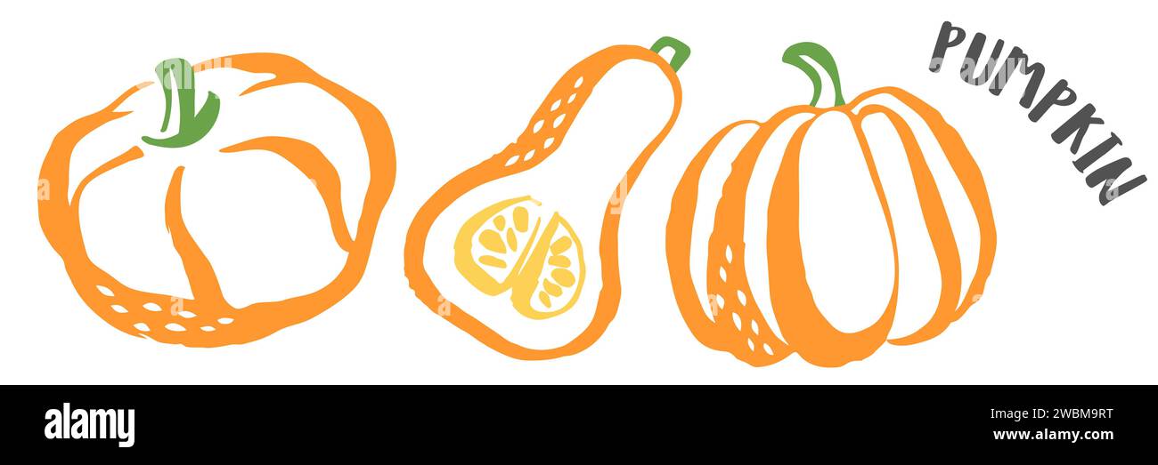 Pumpkin drawing hand painted with ink brush isolated on white ...