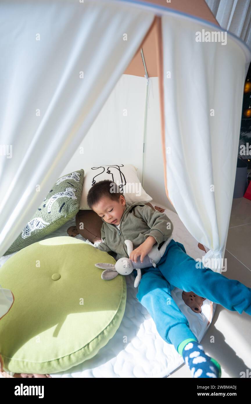 Adorable two and a half little boy is playing with soft toy rabbit in a ...