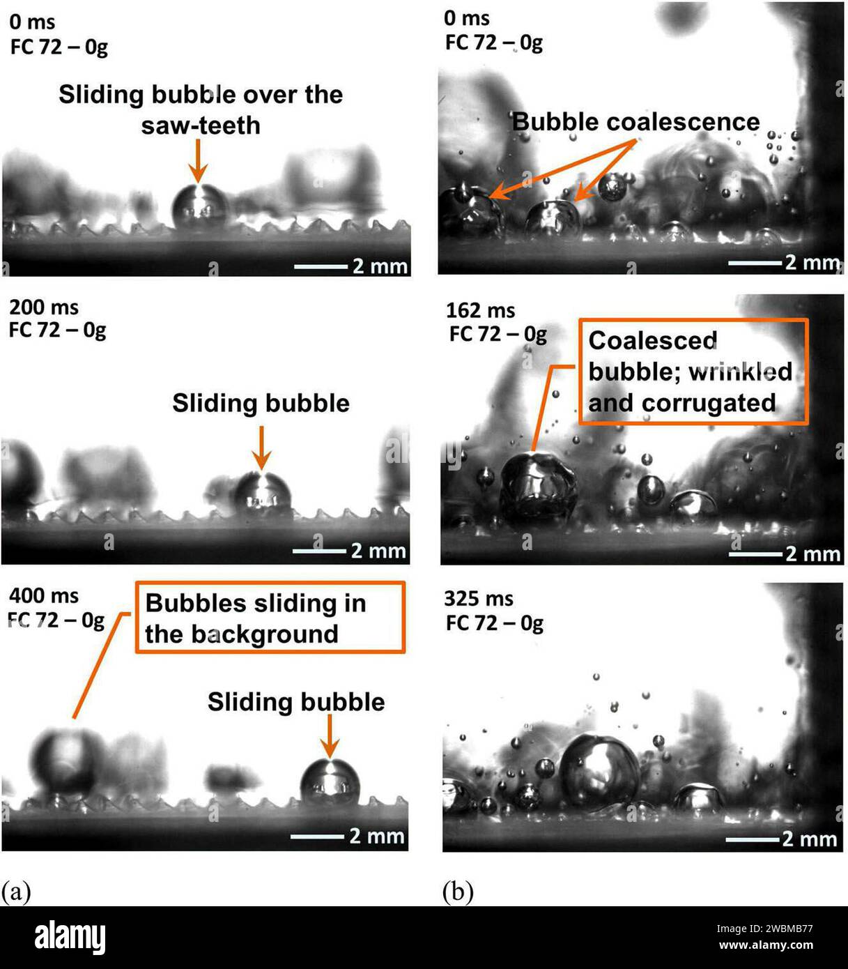 jsc2020e030483 (4/20/2020) --- A preflight image sequence from ...