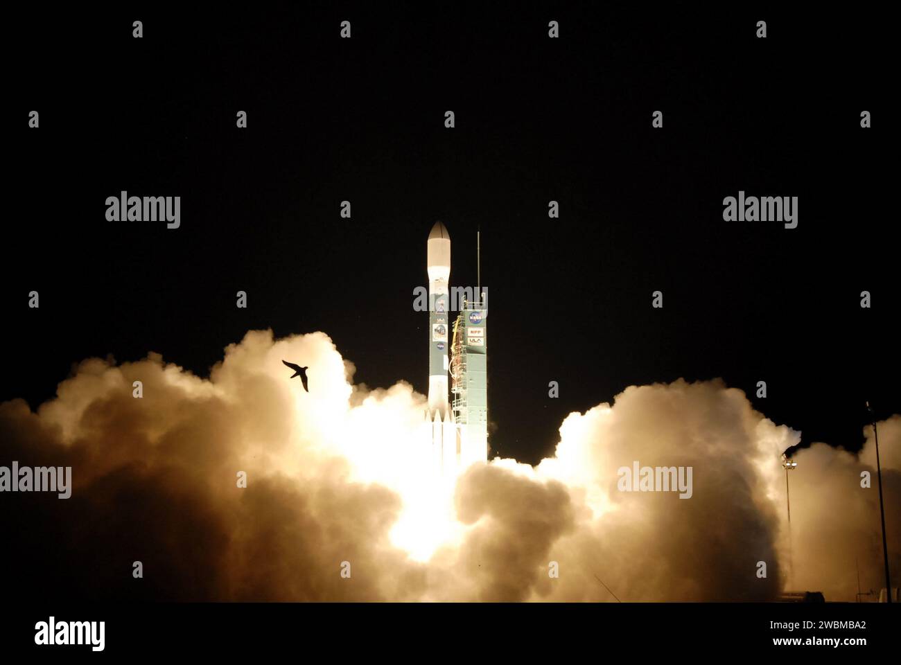 VANDENBERG AIR FORCE BASE, Calif. -- A bird soars away from Space Launch Complex-2 on Vandenberg ...