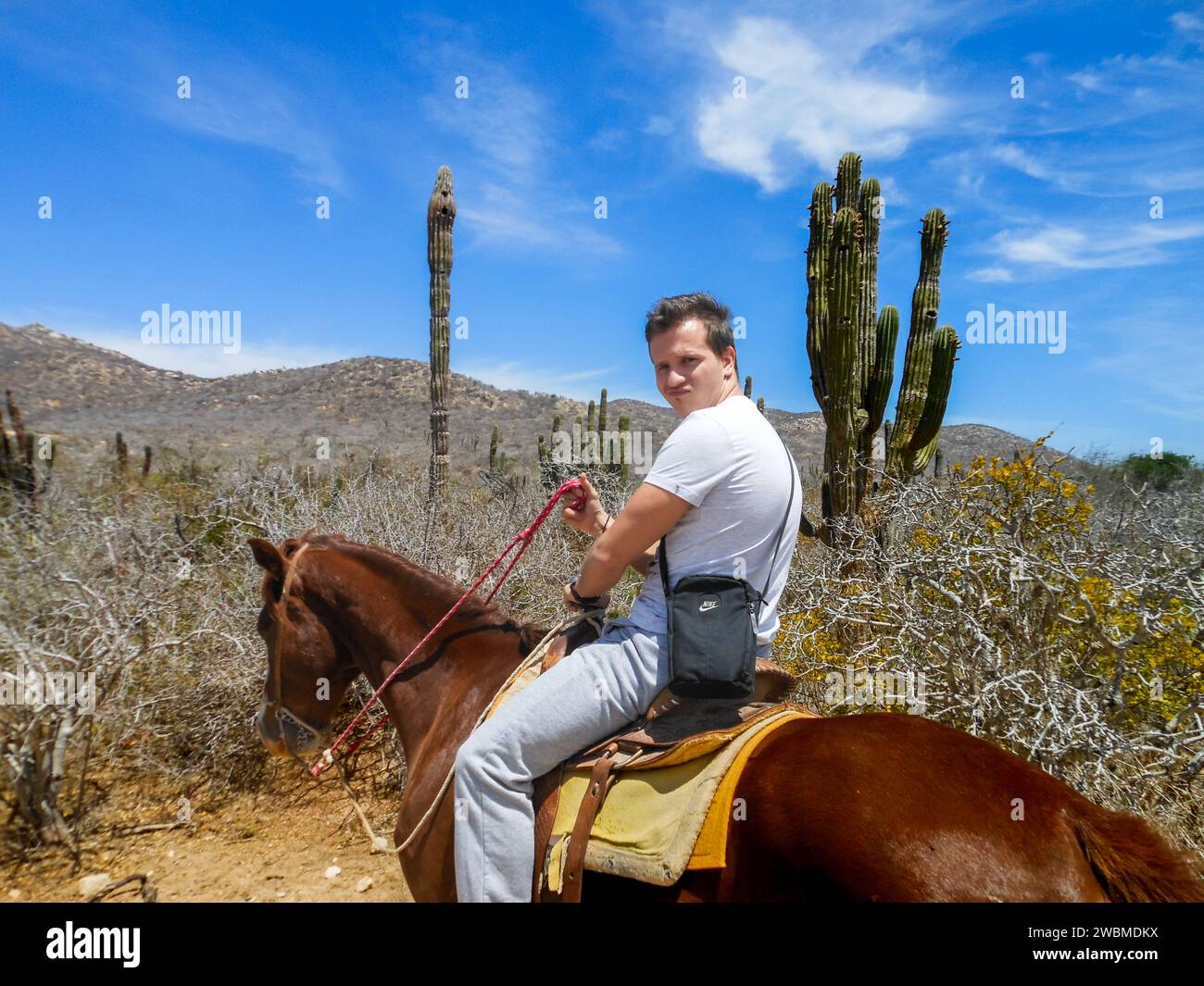 Horseback riding on the beach in Cabo San Lucas, Mexico Stock Photo - Alamy
