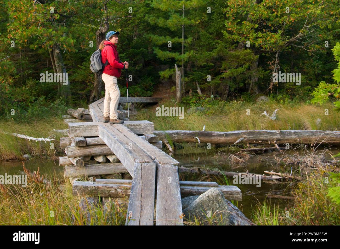 Appalachian Trail, Baxter State Park, Maine Stock Photo - Alamy