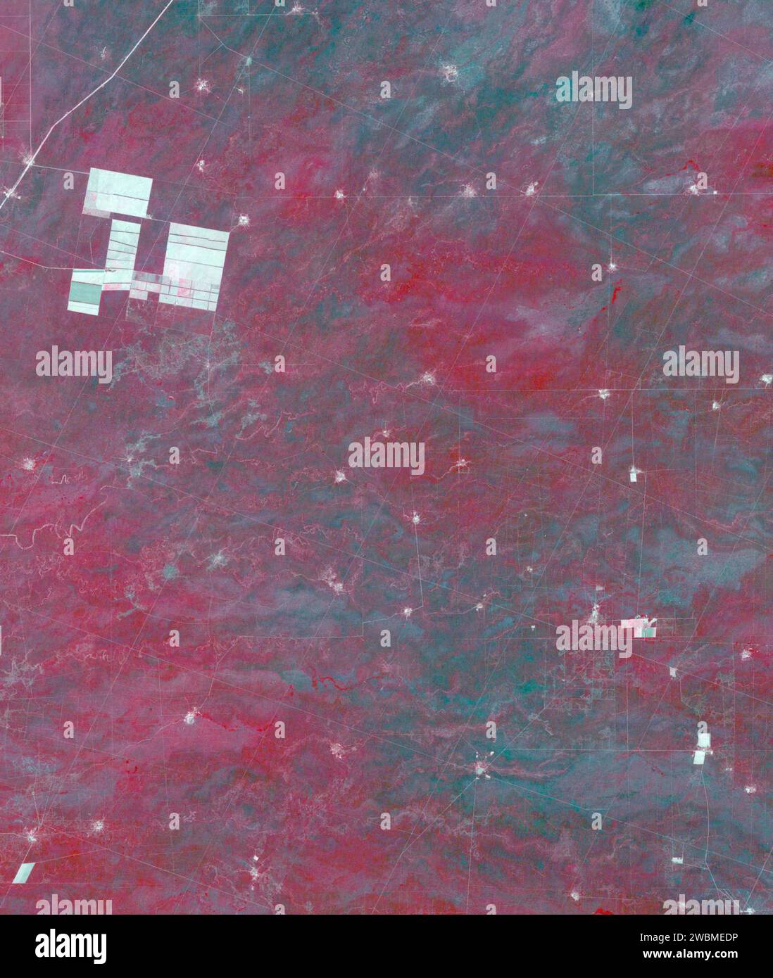 In northern Argentina's Salta province, the chaco forests, made up of ...