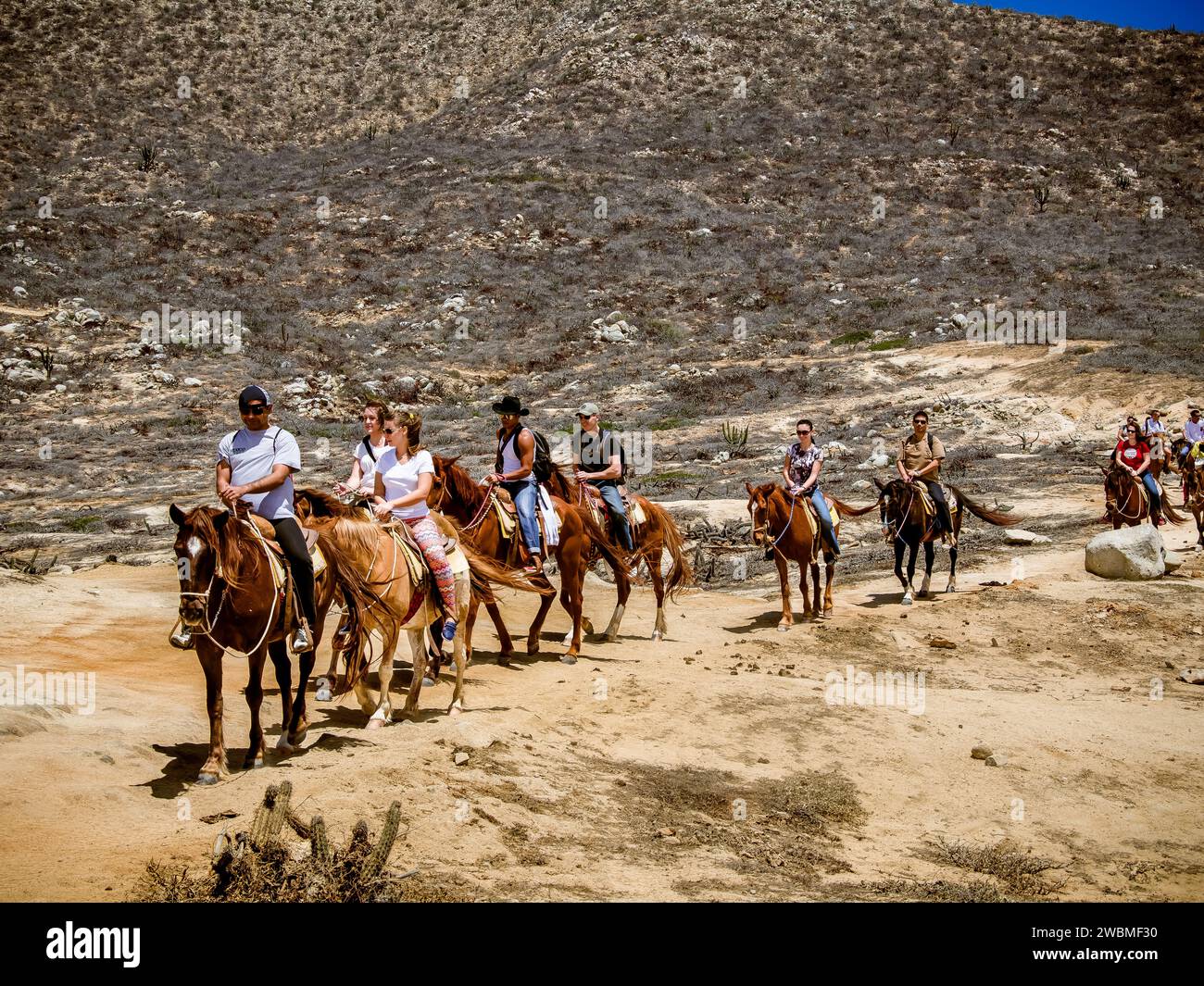 Horseback riding on the beach in Cabo San Lucas, Mexico Stock Photo - Alamy