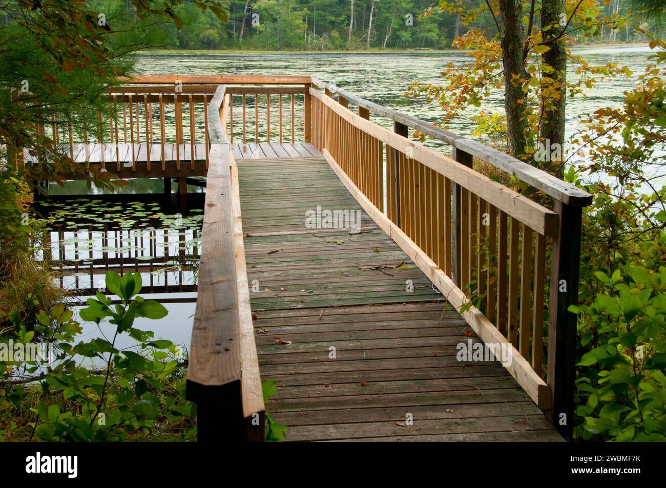 Observation dock at Tillinghast Pond, Tillinghast Pond Management Area ...