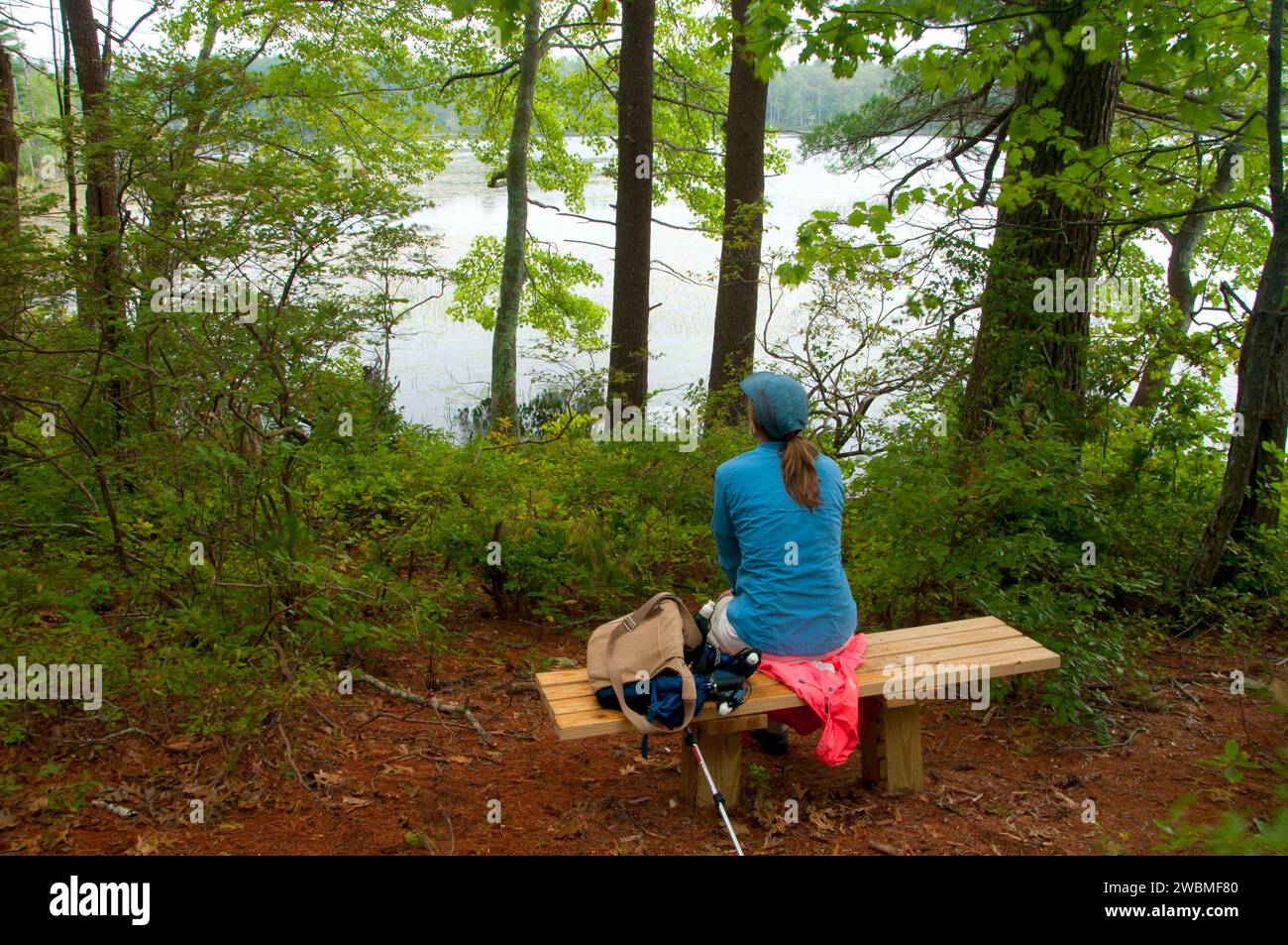 Tillinghast Pond, Tillinghast Pond Management Area, Rhode Island Stock ...