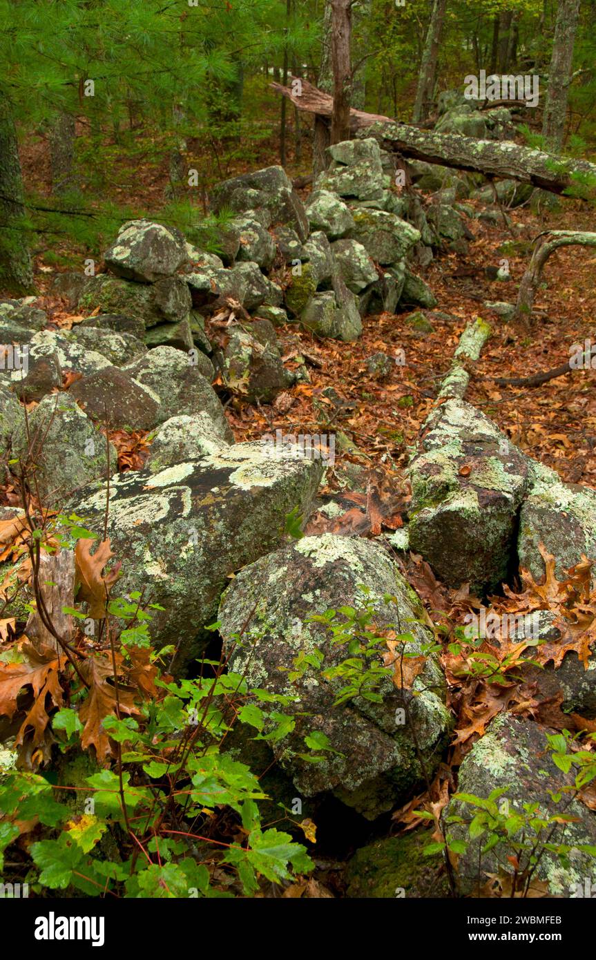 Colonial rockwall, Tillinghast Pond Management Area, Rhode Island Stock ...