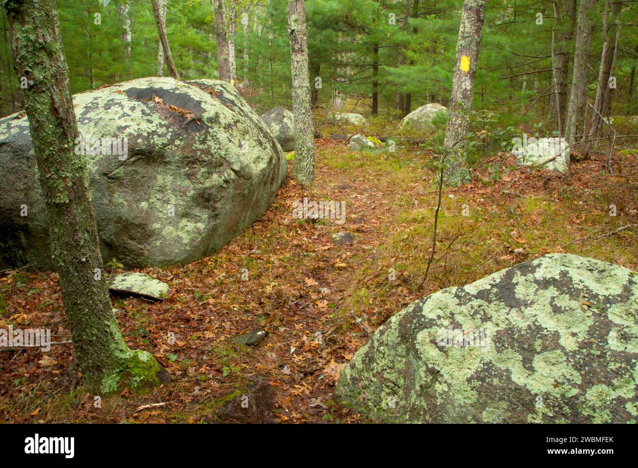 Boulder Garden, Tillinghast Pond Management Area, Rhode Island Stock ...