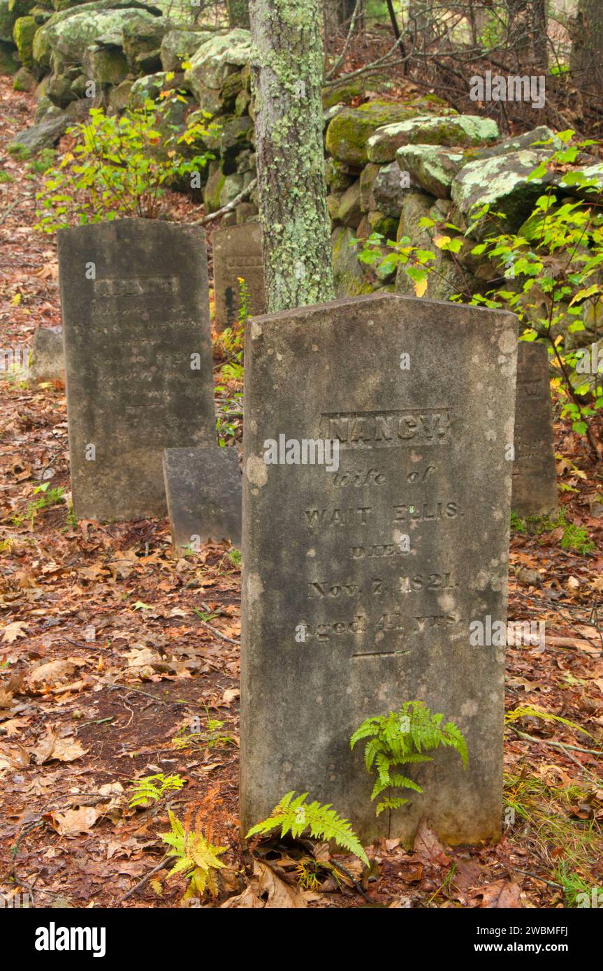 Waite Ellis Cemetery, Tillinghast Pond Management Area, West Greenwich ...