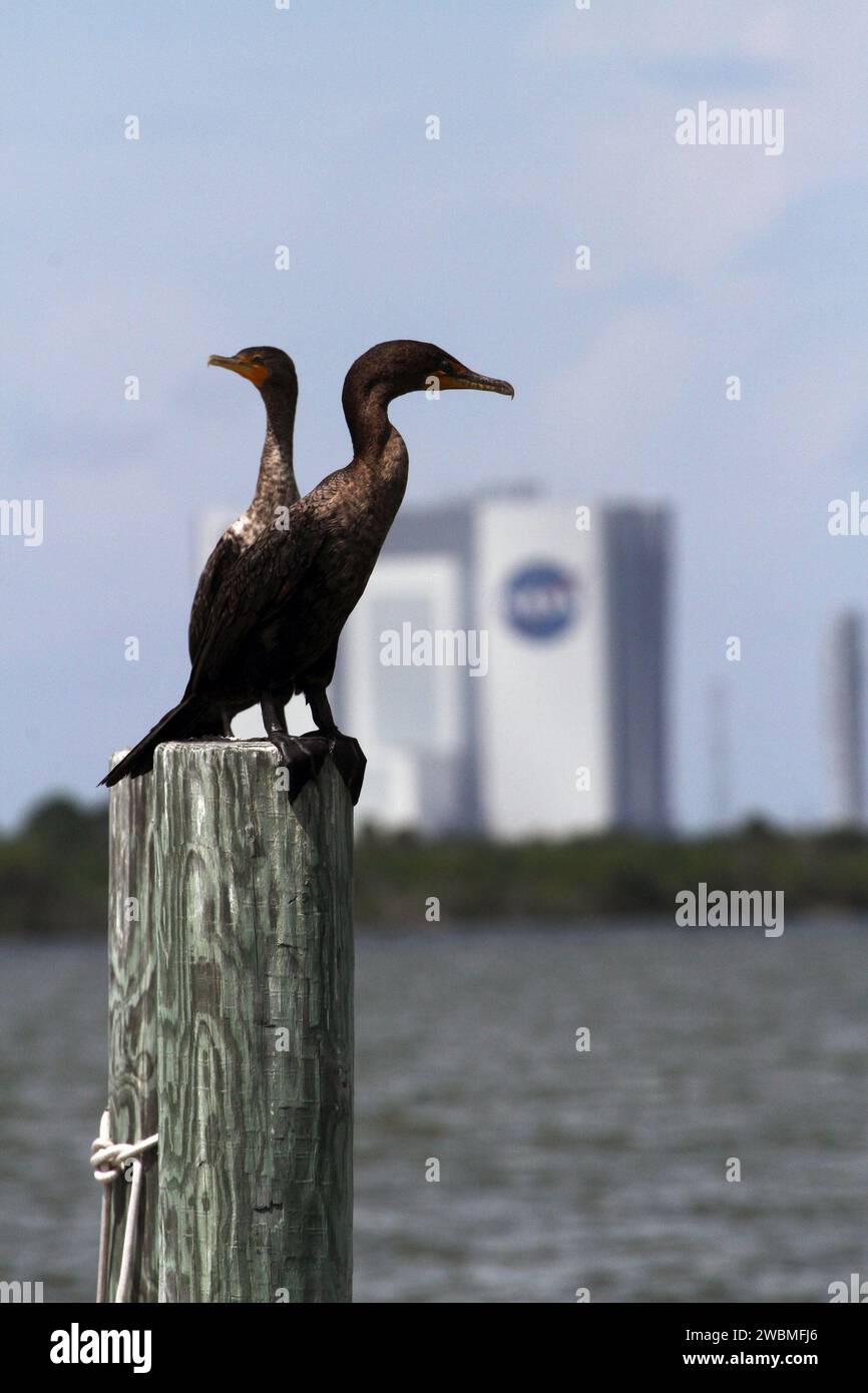 Birds are seen on a dock along the NASA Causeway at Kennedy Space ...