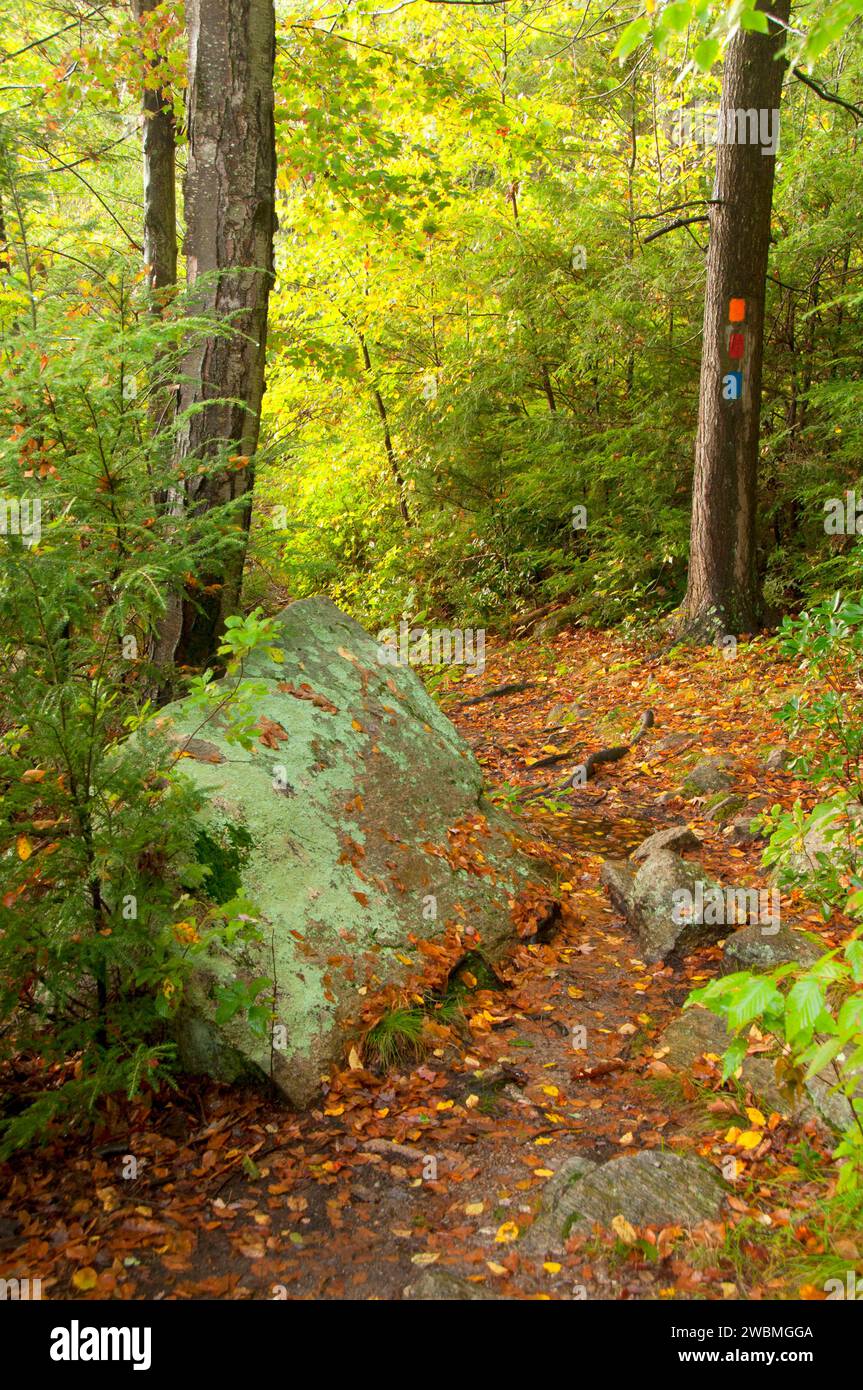 Walkabout Trail, George Washington Management Area, Rhode Island Stock ...