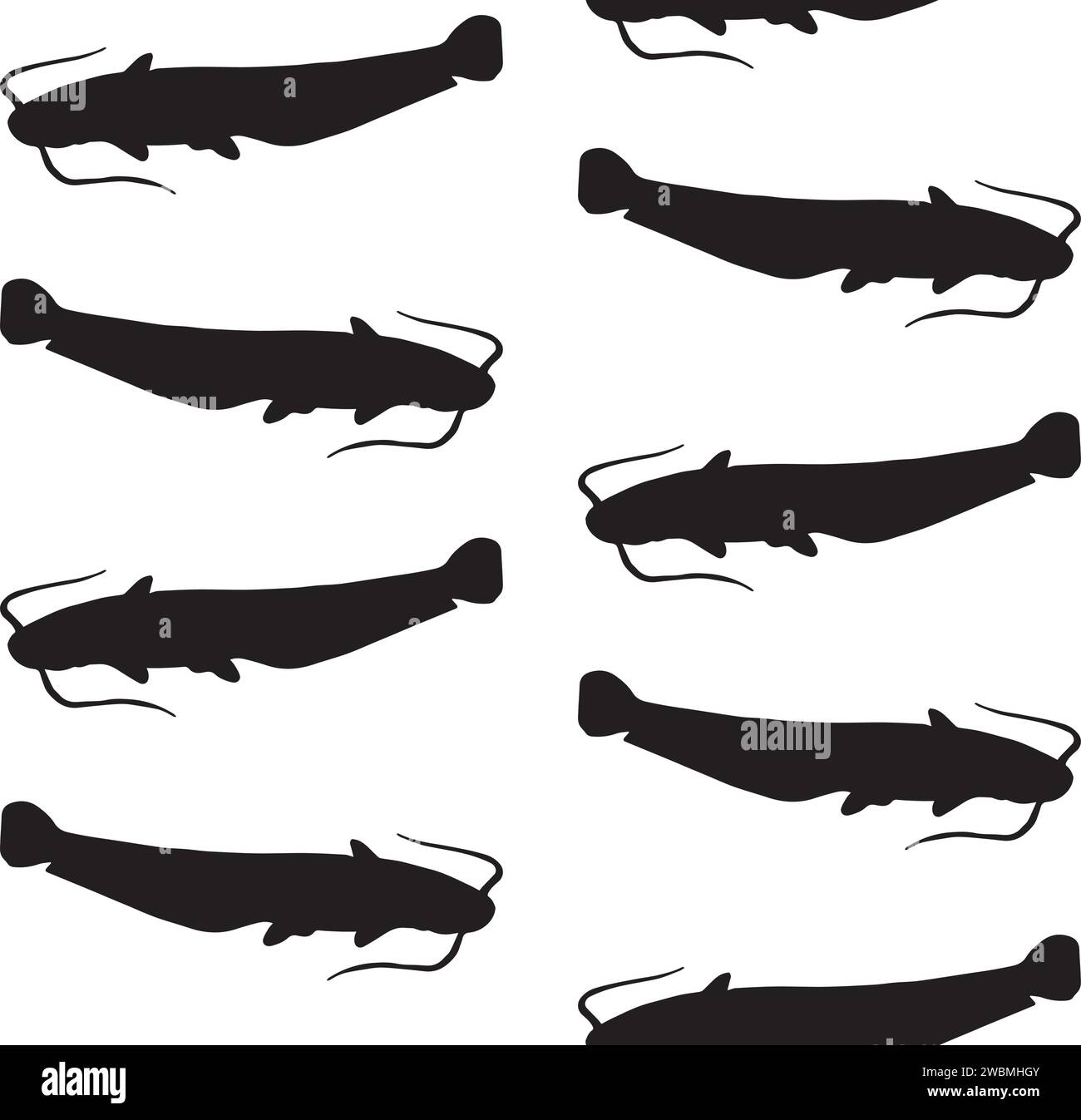 Vector seamless pattern of hand drawn catfish fish silhouette isolated ...