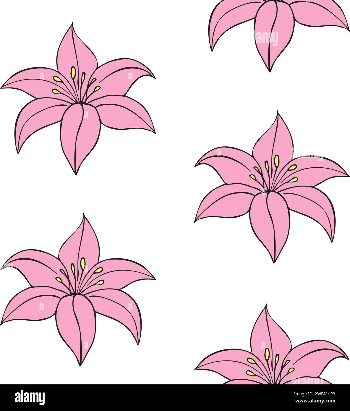 Vector seamless pattern of hand drawn doodle sketch pink Lilly flower ...