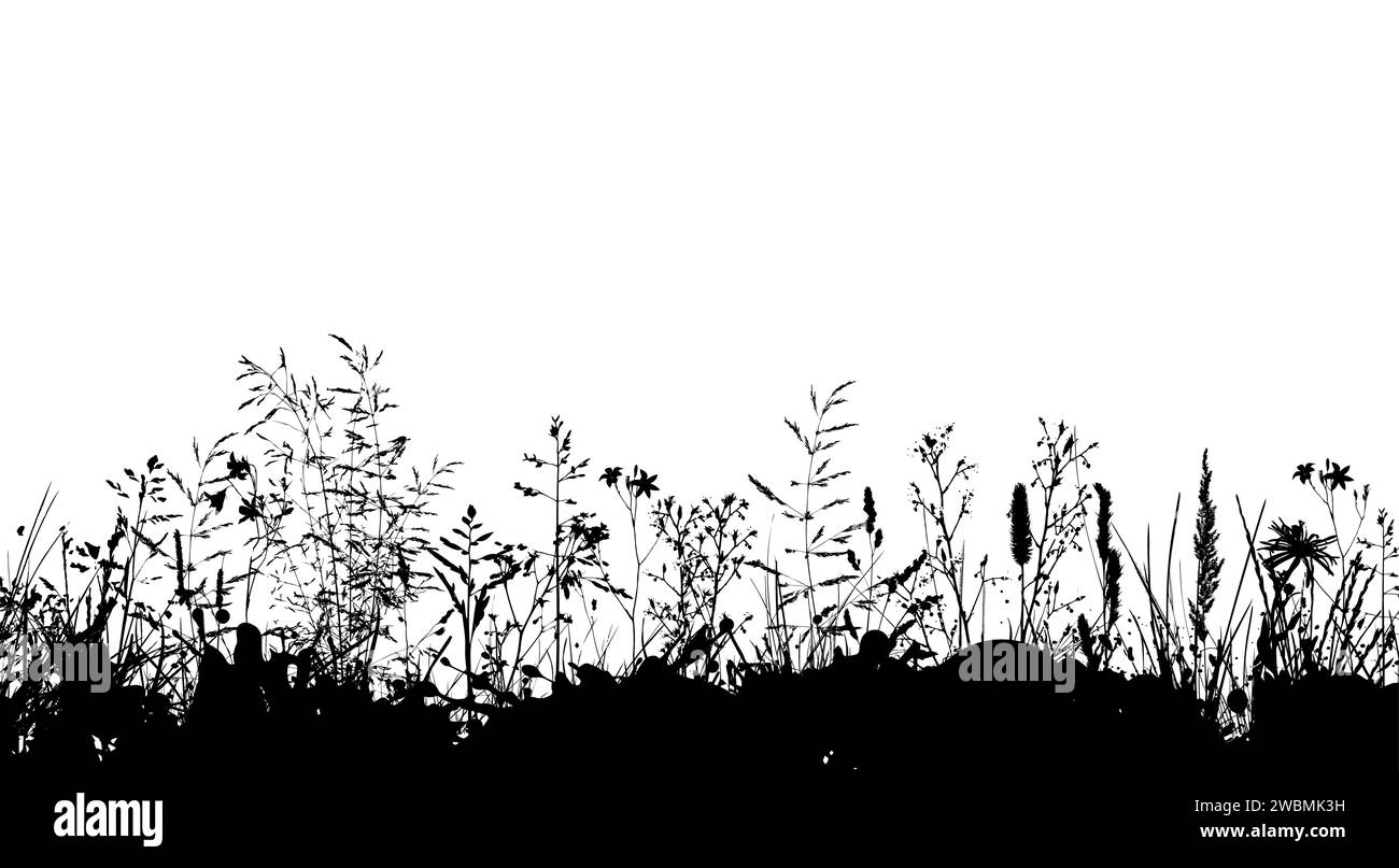 Grass silhouette. hand drawing. Not AI, Vector illustration Stock ...
