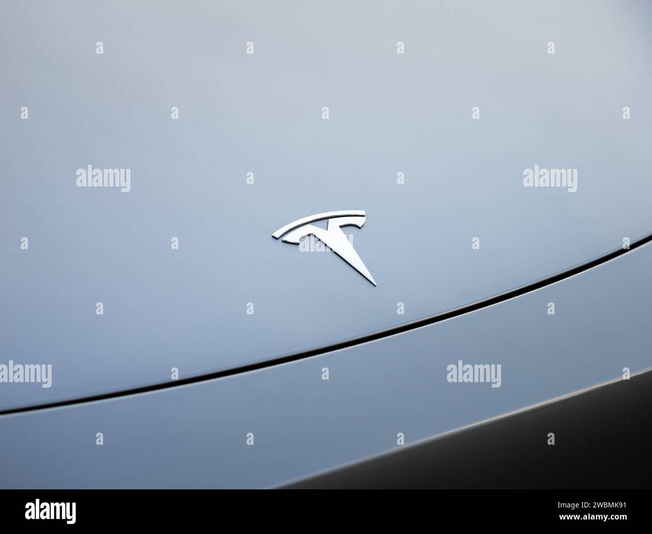 Tesla emblem in a close up view. Brand logo on a car exterior. Identity ...