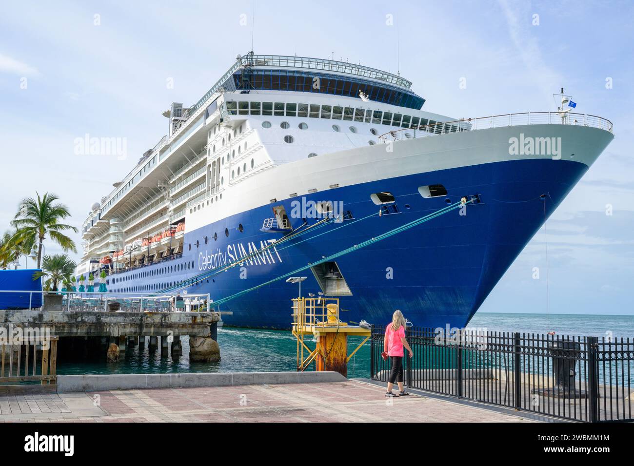 Cruiseship palm tree hi-res stock photography and images - Alamy