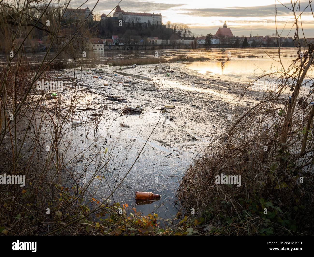 Plastic litter pollution in the environment. A river washed up ...