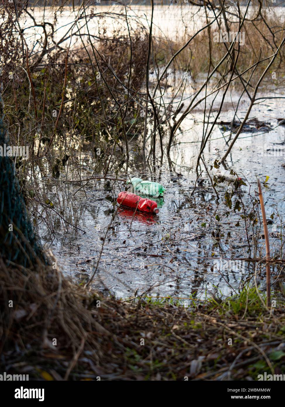 Plastic bottles washed up next to a river. Disposable beverage ...