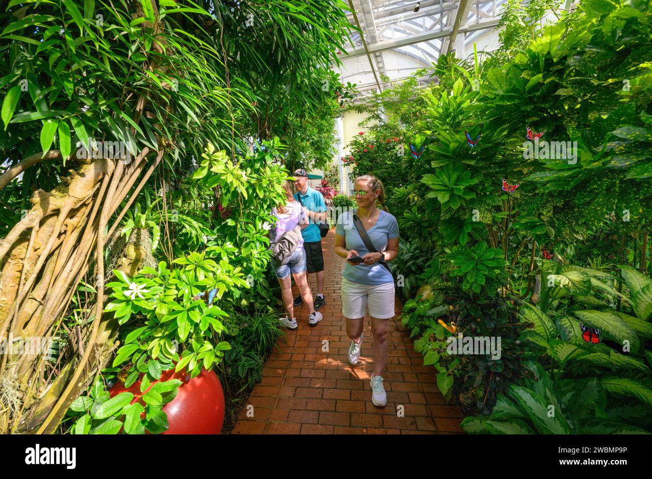 Butterflyconservatory hi-res stock photography and images - Alamy
