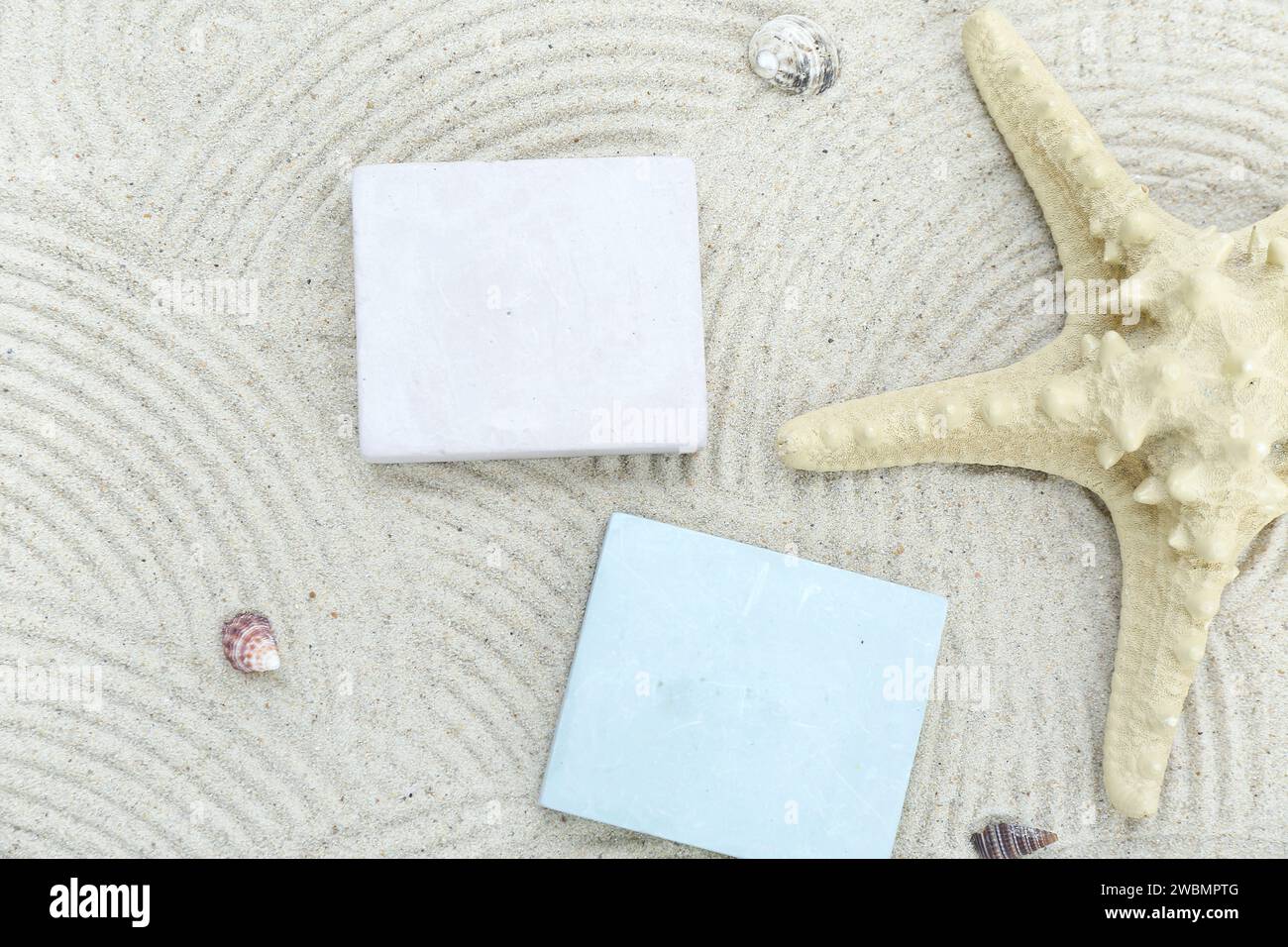 Decorative plaster podiums, starfish and seashells in sand Stock Photo ...