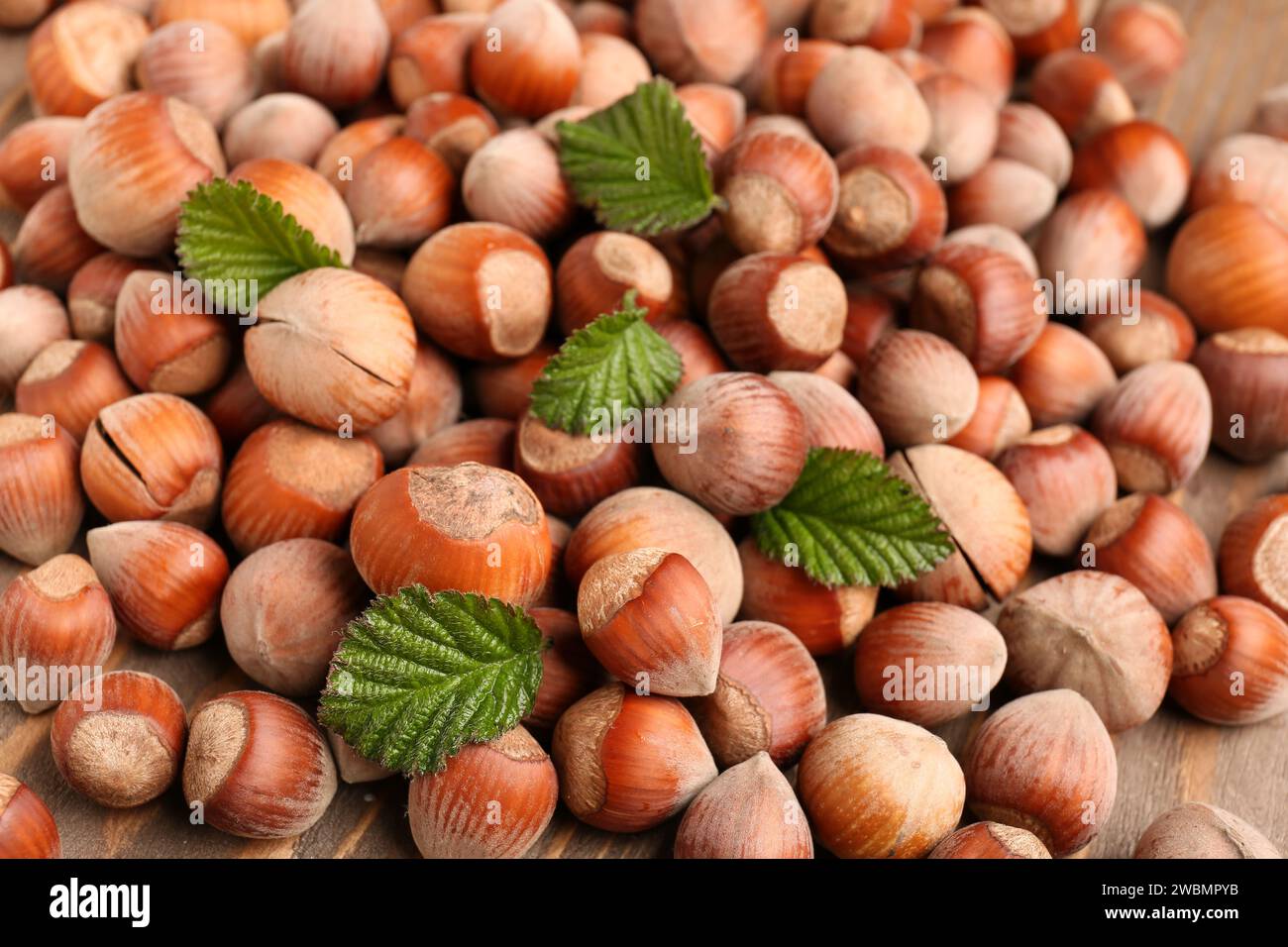 Texture hazelnuts green leaves hi-res stock photography and images - Alamy