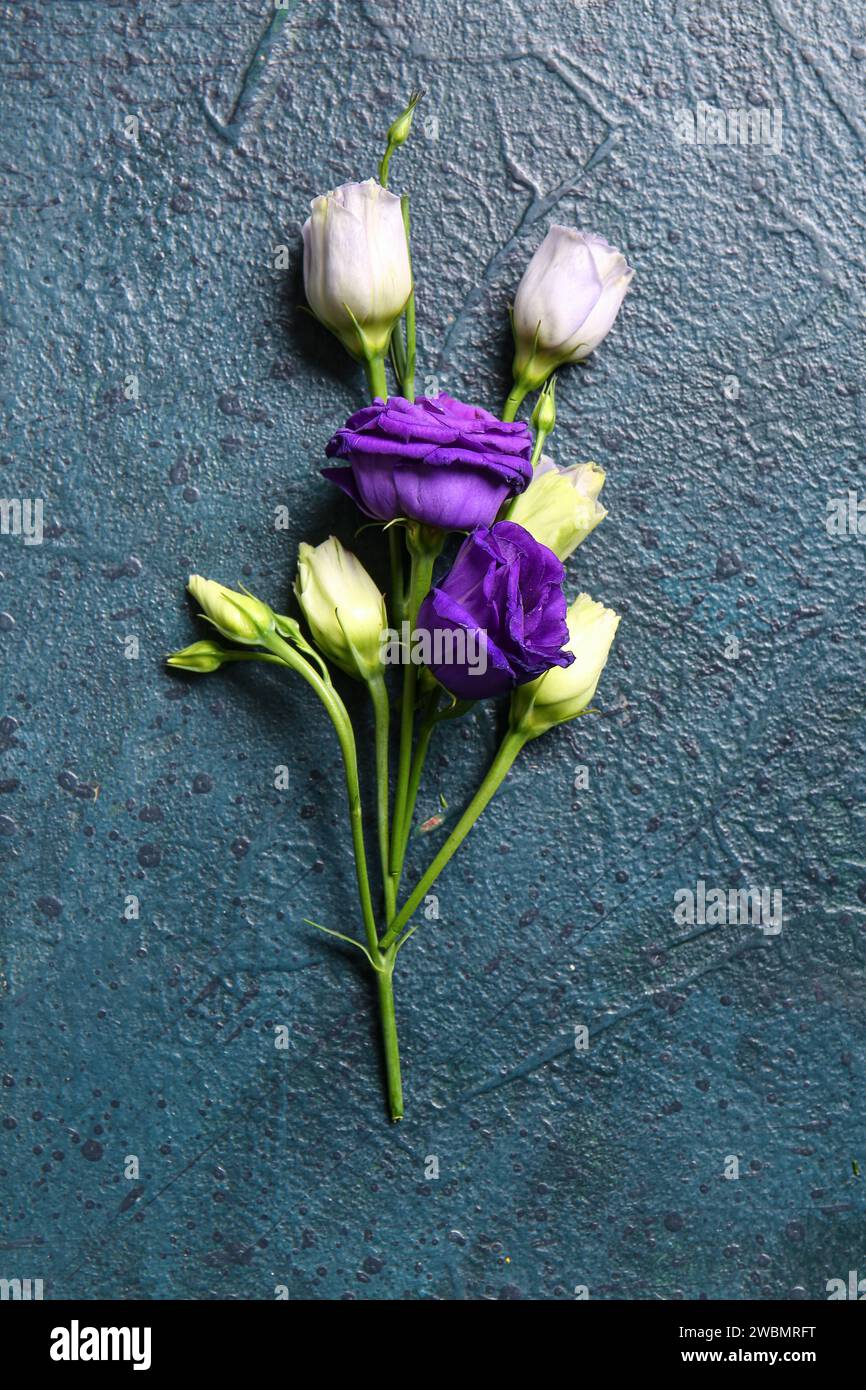 Composition with beautiful eustoma flowers on dark color background ...