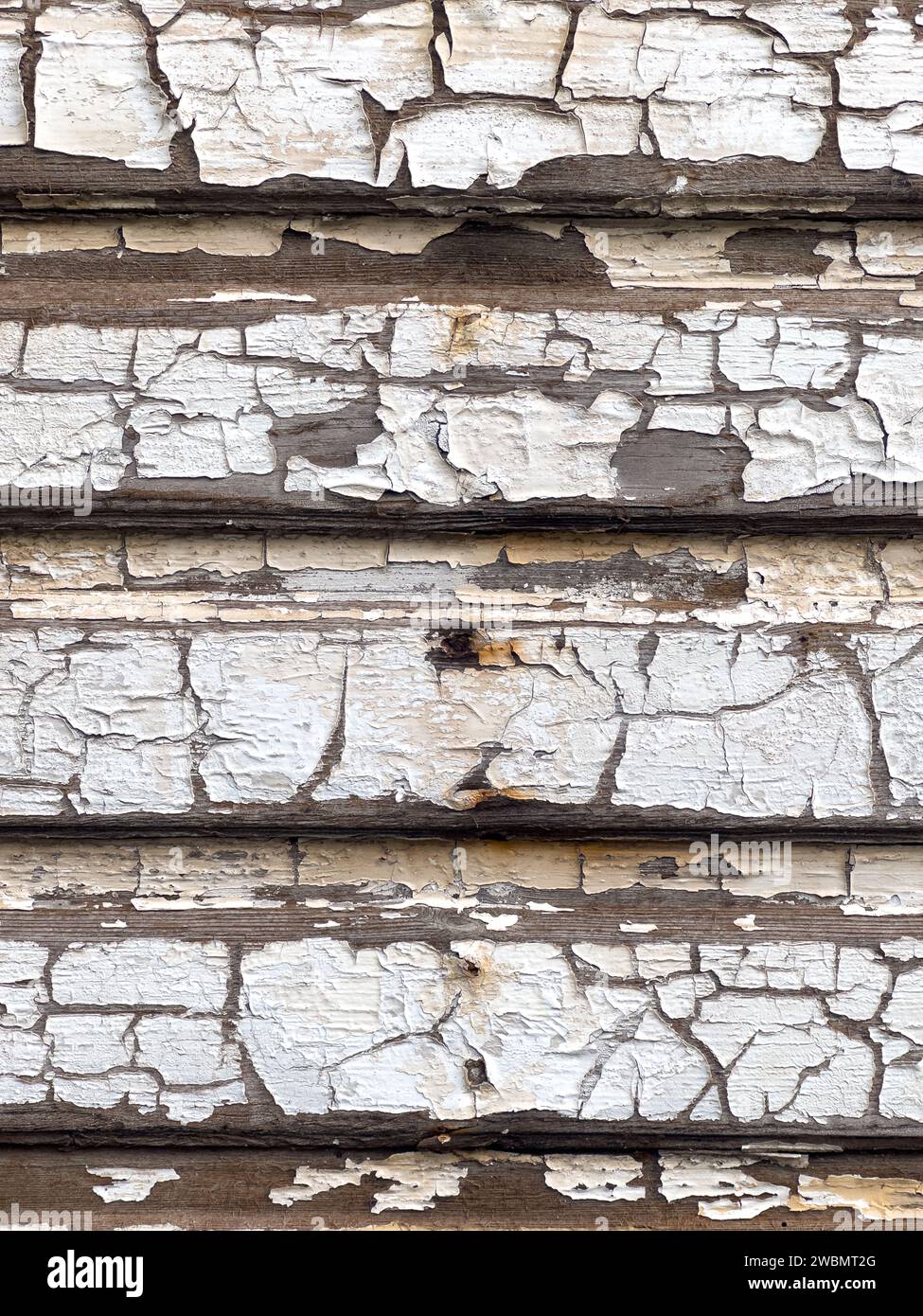 White crackled- chipping paint background, Peeling white paint backdrop ...